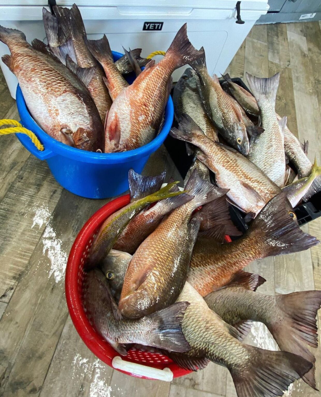 SeaSide Grill – The Best Fresh Seafood Restaurant In Bermuda